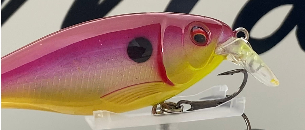 King crank bait – KaoMadness Custom Lures